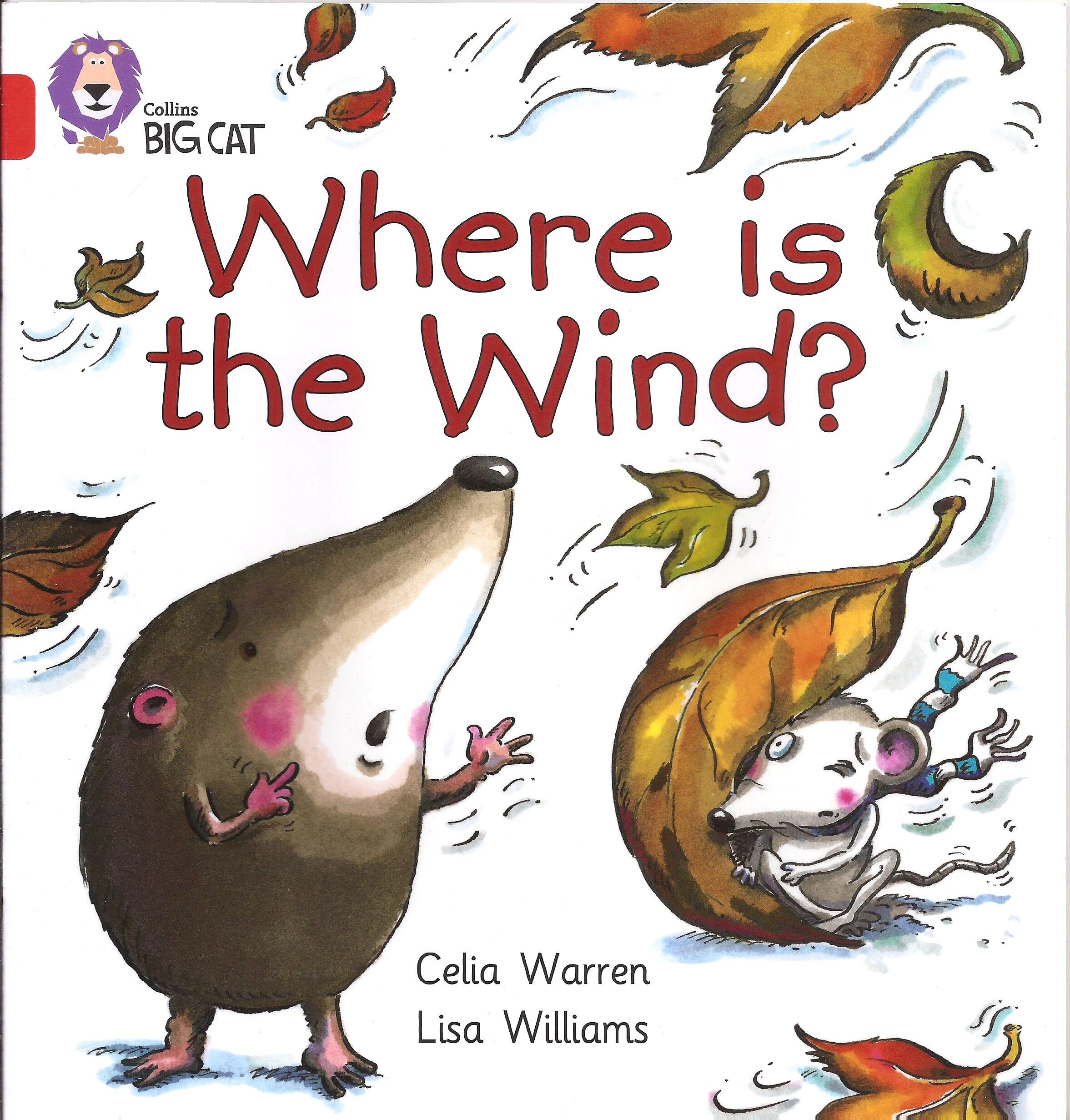 WHERE IS THE WIND? - BAND 2B - Big Cat - Kel Ediciones