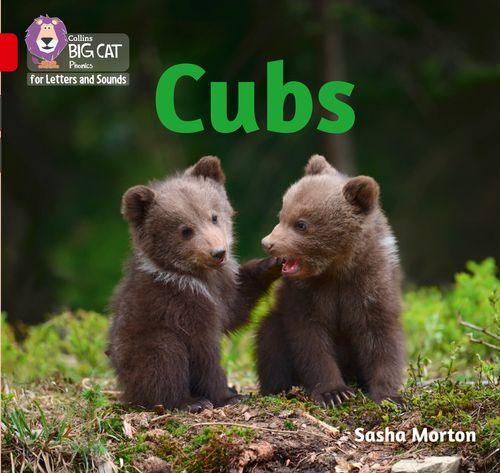 CUBS - Big Cat Phonics for Letters and Sounds - Kel Ediciones
