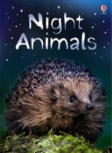 NIGHT ANIMALS - Usborne Beginners - Kel Ediciones