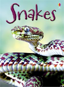 SNAKES - Usborne Beginners - Kel Ediciones