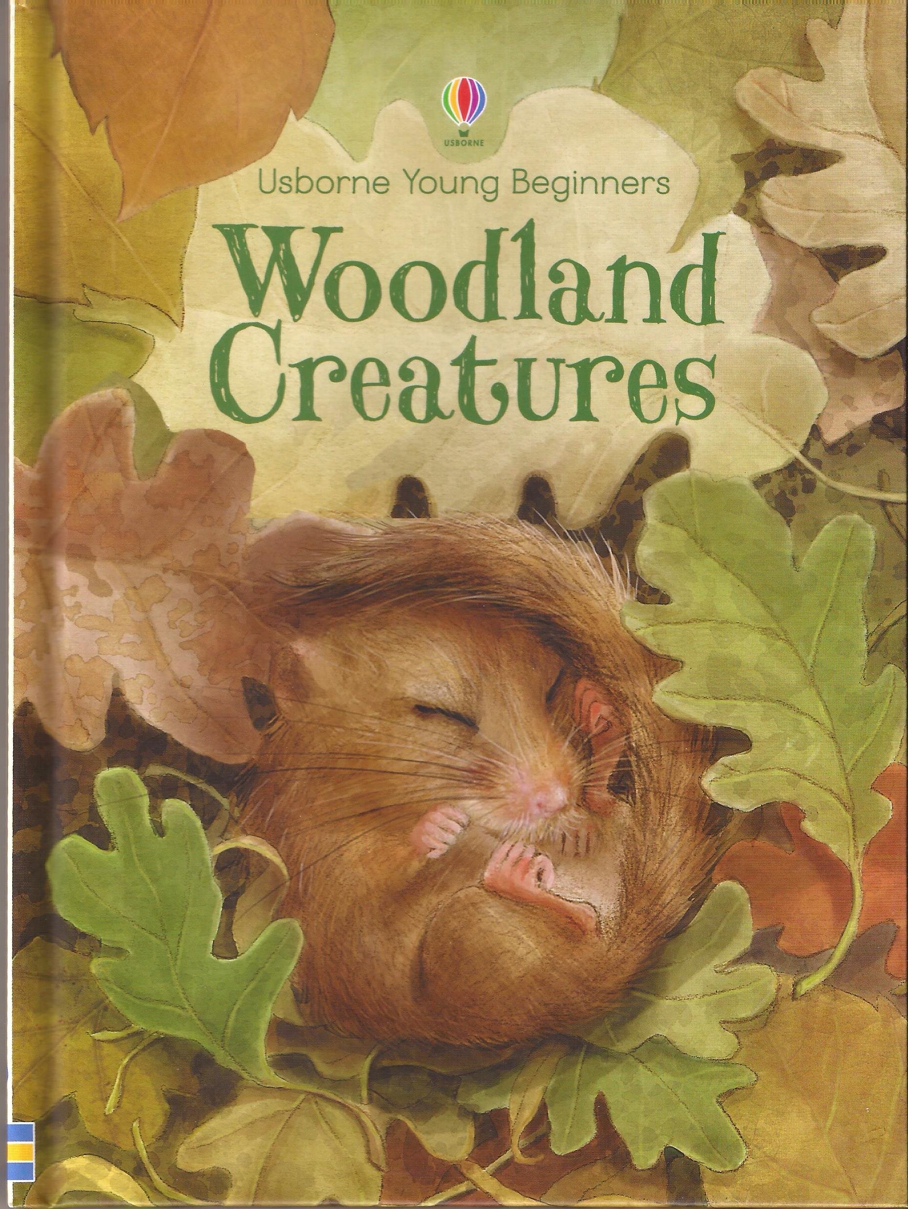 WOODLAND CREATURES - Usborne Young Beginners - Kel Ediciones
