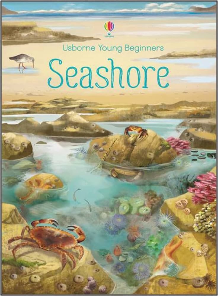 SEASHORE - Usborne Young Beginners - Kel Ediciones