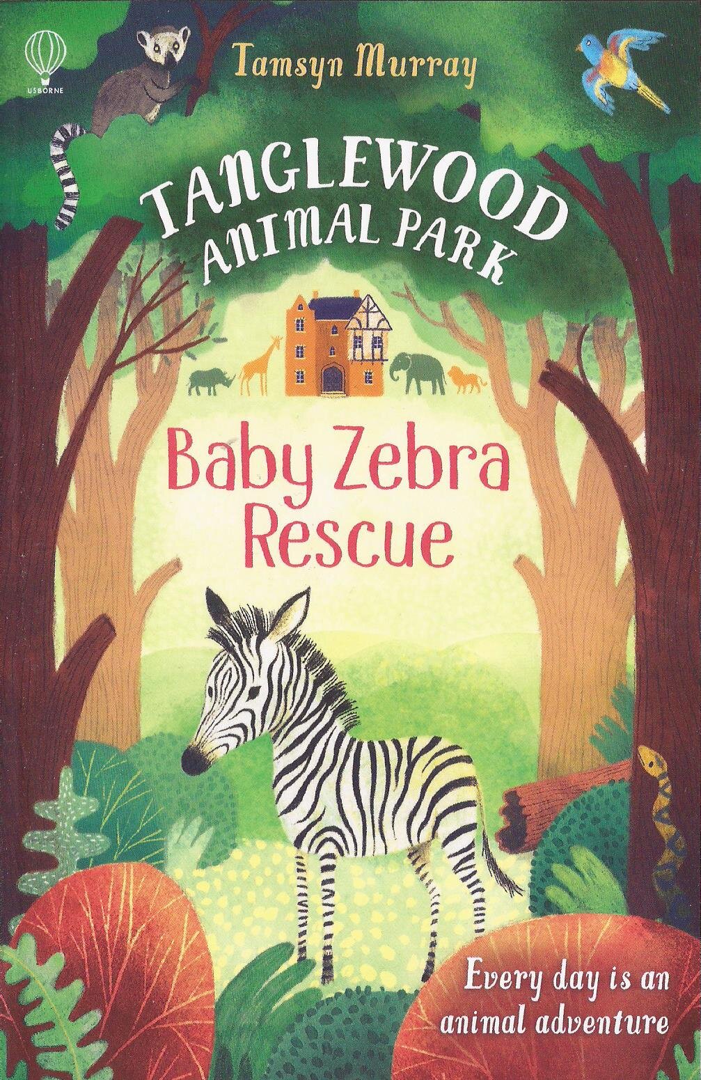 BABY ZEBRA RESCUE - Usborne Fiction Title - Kel Ediciones