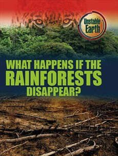 WHAT HAPPENS IF THE RAINFORESTS DISAPPEARS? - Unstable Earth - Kel ...