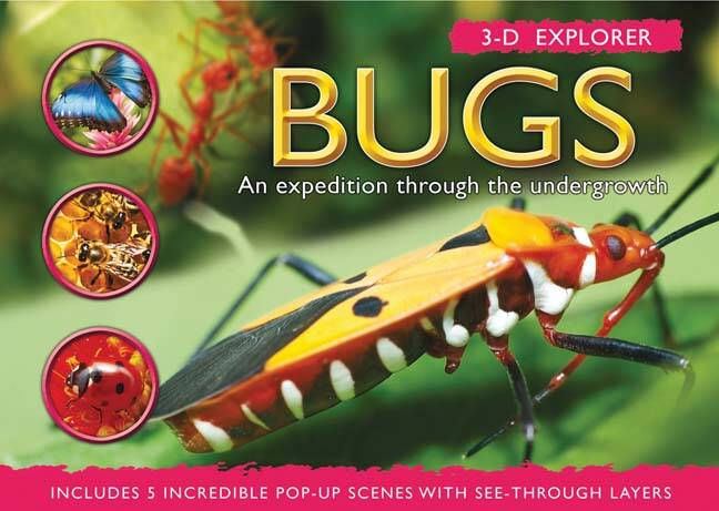 BUGS: 3-D Explorer - Kel Ediciones