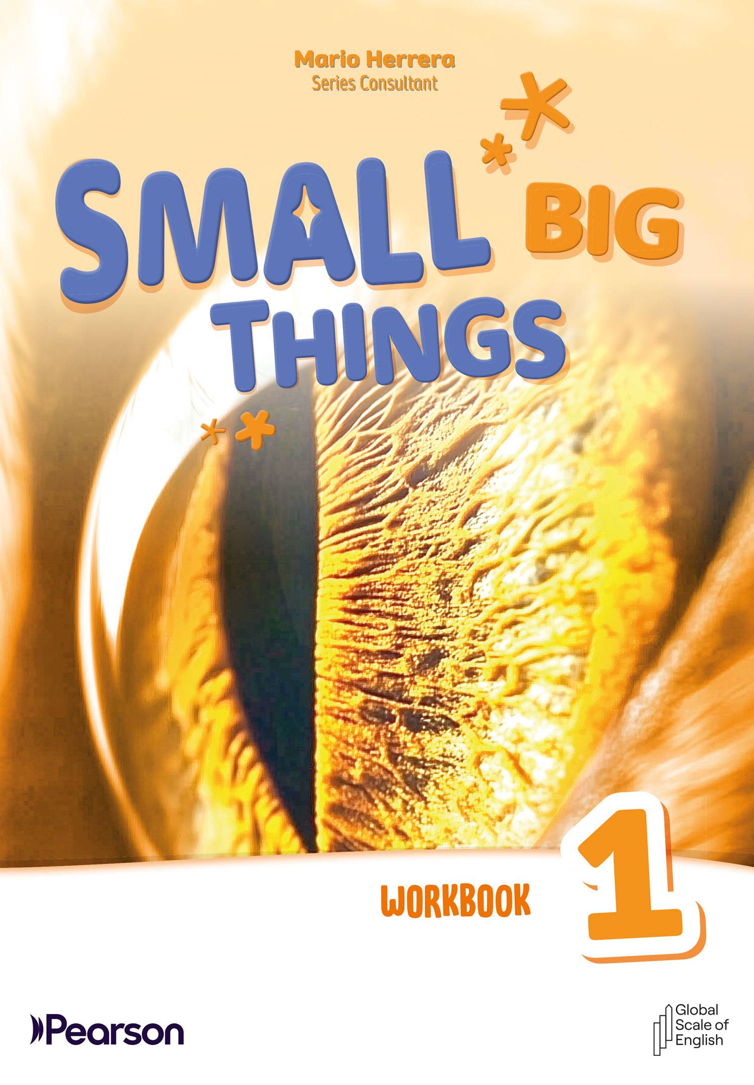 SMALL BIG THINGS 1 (AME) - WORKBOOK WITH EBOOK AND ONLINE PRACTICE ...